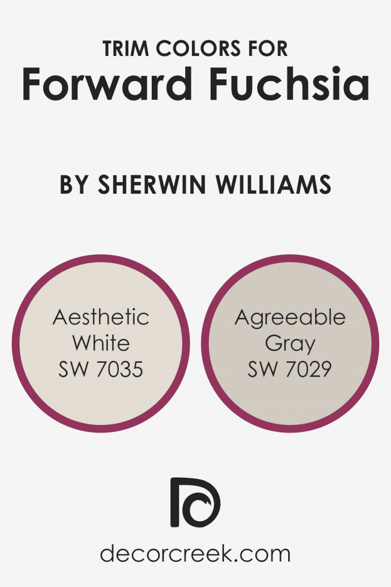 Forward Fuchsia SW 6842 Paint Color by Sherwin Williams - DecorCreek