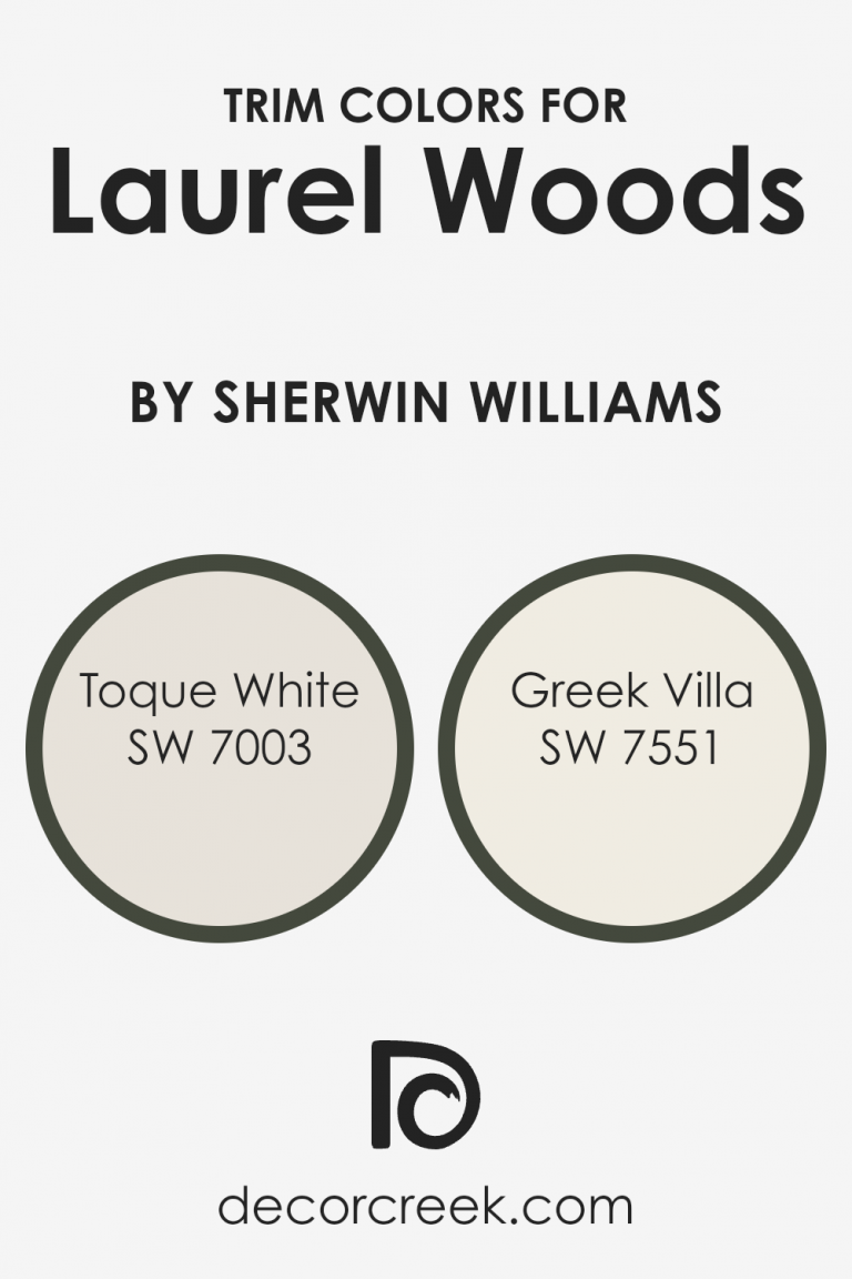 Laurel Woods SW 7749 Paint Color by Sherwin Williams - DecorCreek