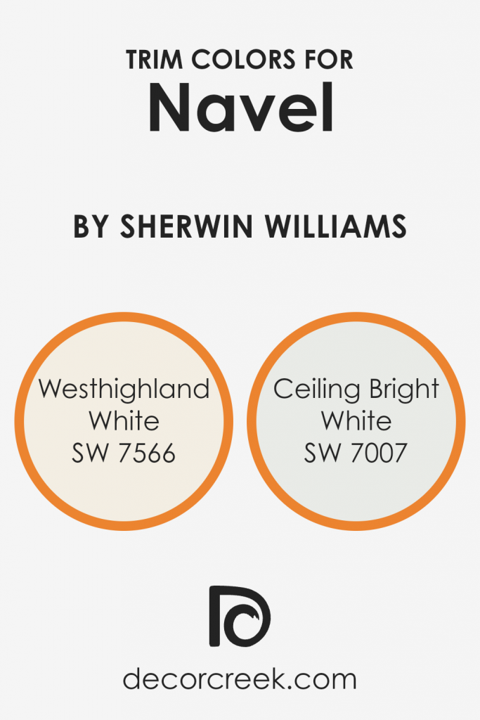 Navel SW 6887 Paint Color by Sherwin Williams - DecorCreek