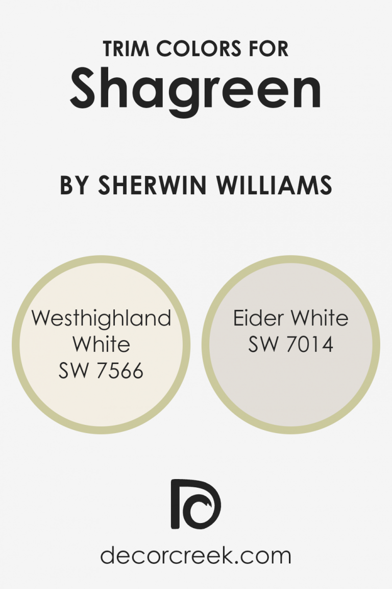 Shagreen SW 6422 Paint Color by Sherwin Williams - DecorCreek