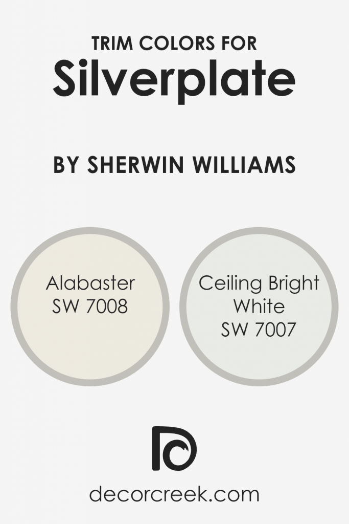 Silverplate SW 7649 Paint Color by Sherwin Williams - DecorCreek