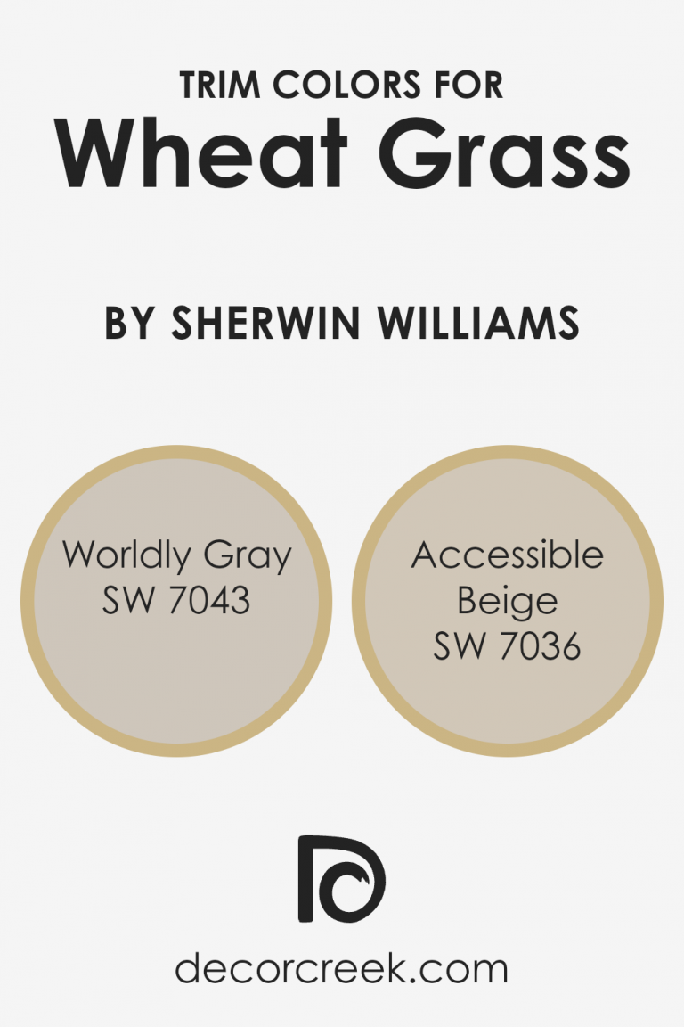 Wheat Grass SW 6408 Paint Color by Sherwin Williams - DecorCreek