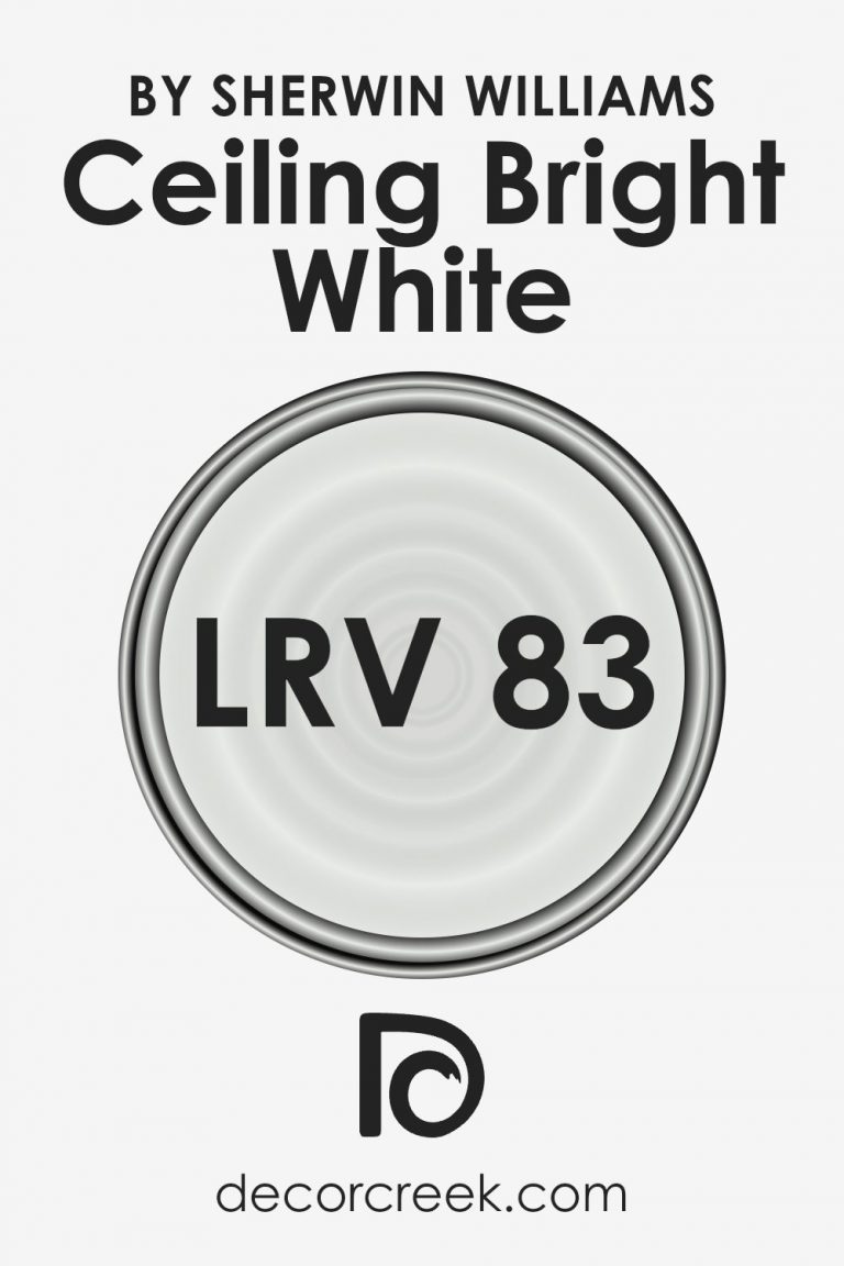 Ceiling Bright White SW 7007 Paint Color by Sherwin Williams - DecorCreek