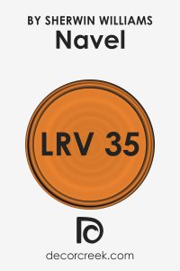 Navel SW 6887 Paint Color by Sherwin Williams - DecorCreek