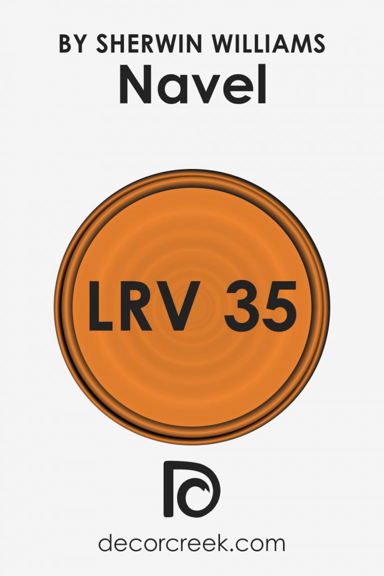 Navel SW 6887 Paint Color by Sherwin Williams - DecorCreek