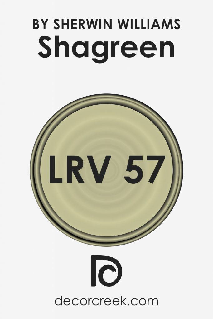 Shagreen SW 6422 Paint Color by Sherwin Williams - DecorCreek