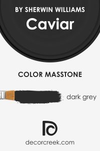 Caviar SW 6990 Paint Color by Sherwin Williams - DecorCreek