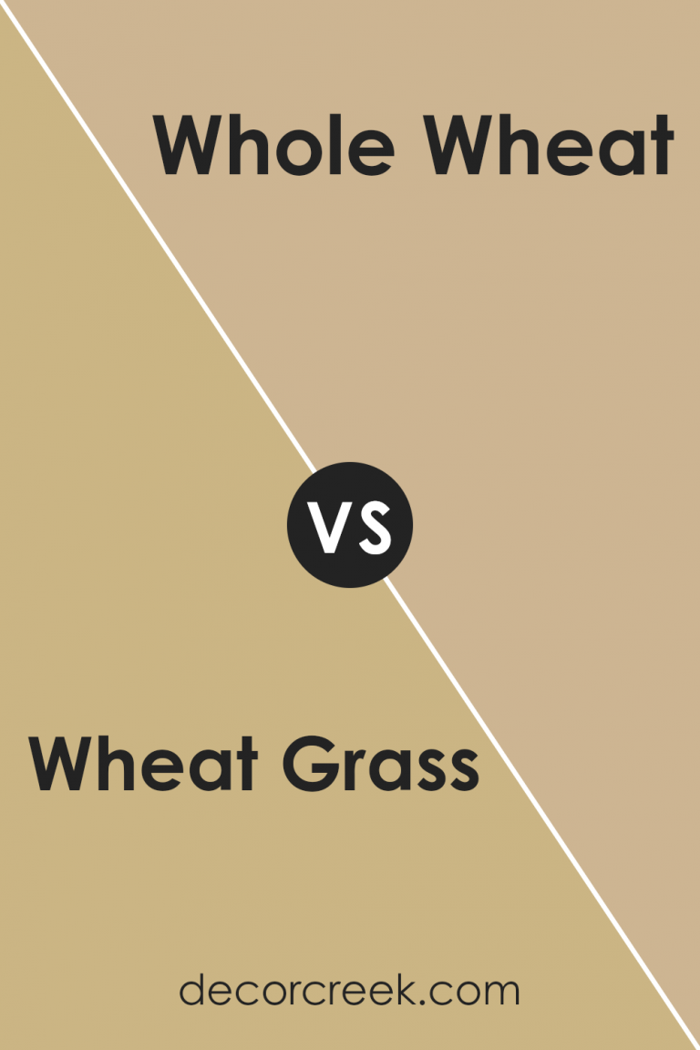 Wheat Grass SW 6408 Paint Color by Sherwin Williams - DecorCreek