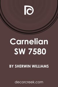 Carnelian SW 7580 Paint Color by Sherwin Williams - DecorCreek