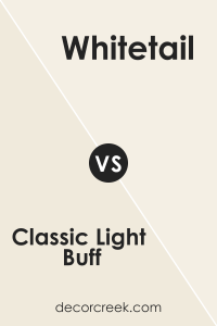Classic Light Buff SW 0050 Paint Color by Sherwin Williams - DecorCreek