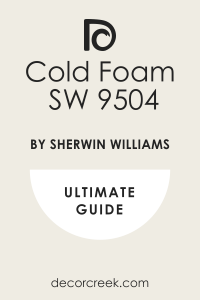Cold Foam SW 9504 Paint Color by Sherwin Williams - DecorCreek