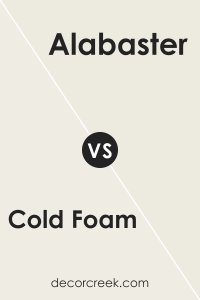 Cold Foam SW 9504 Paint Color by Sherwin Williams - DecorCreek