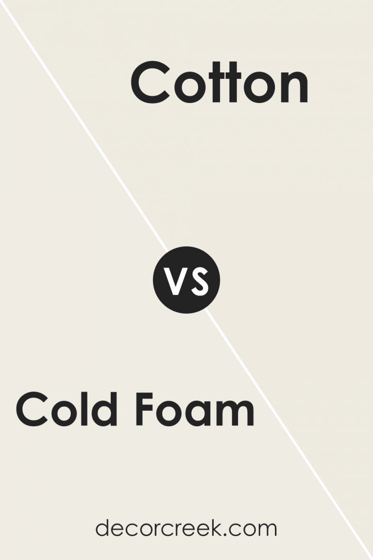 Cold Foam SW 9504 Paint Color by Sherwin Williams - DecorCreek