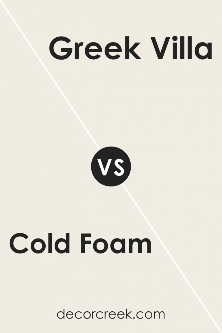 Cold Foam SW 9504 Paint Color by Sherwin Williams - DecorCreek