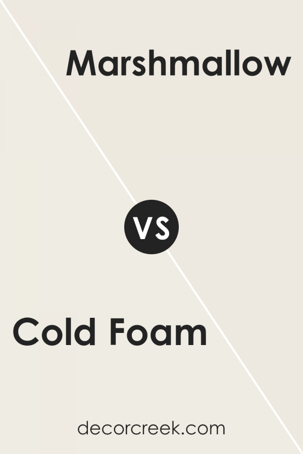 Cold Foam SW 9504 Paint Color by Sherwin Williams - DecorCreek