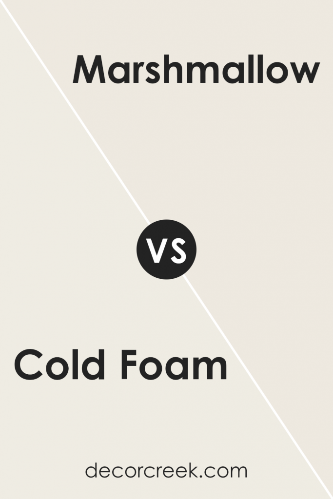 Cold Foam SW 9504 Paint Color by Sherwin Williams - DecorCreek