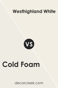 Cold Foam SW 9504 Paint Color by Sherwin Williams - DecorCreek