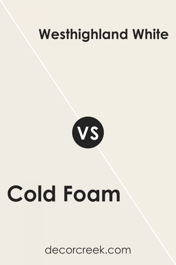 Cold Foam SW 9504 Paint Color by Sherwin Williams - DecorCreek