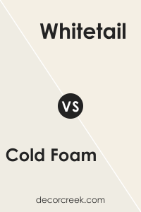 Cold Foam SW 9504 Paint Color by Sherwin Williams - DecorCreek