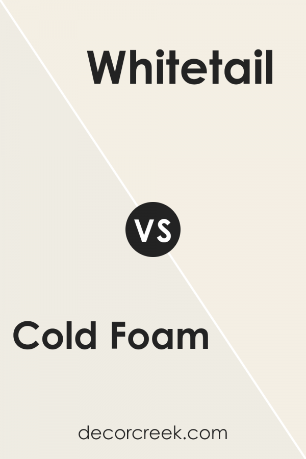 Cold Foam SW 9504 Paint Color by Sherwin Williams - DecorCreek