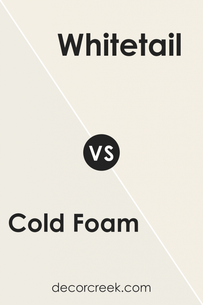 Cold Foam SW 9504 Paint Color by Sherwin Williams - DecorCreek