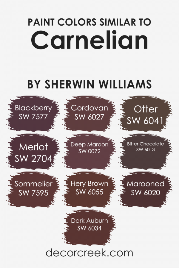 Carnelian SW 7580 Paint Color by Sherwin Williams - DecorCreek