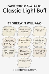 Classic Light Buff SW 0050 Paint Color by Sherwin Williams - DecorCreek