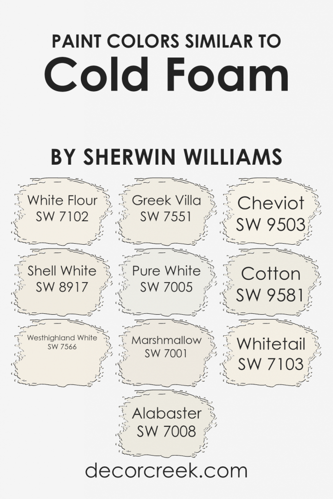 Cold Foam SW 9504 Paint Color by Sherwin Williams - DecorCreek
