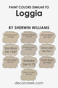 Loggia SW 7506 Paint Color by Sherwin Williams - DecorCreek