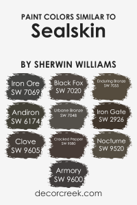 Sealskin SW 7675 Paint Color by Sherwin Williams - DecorCreek