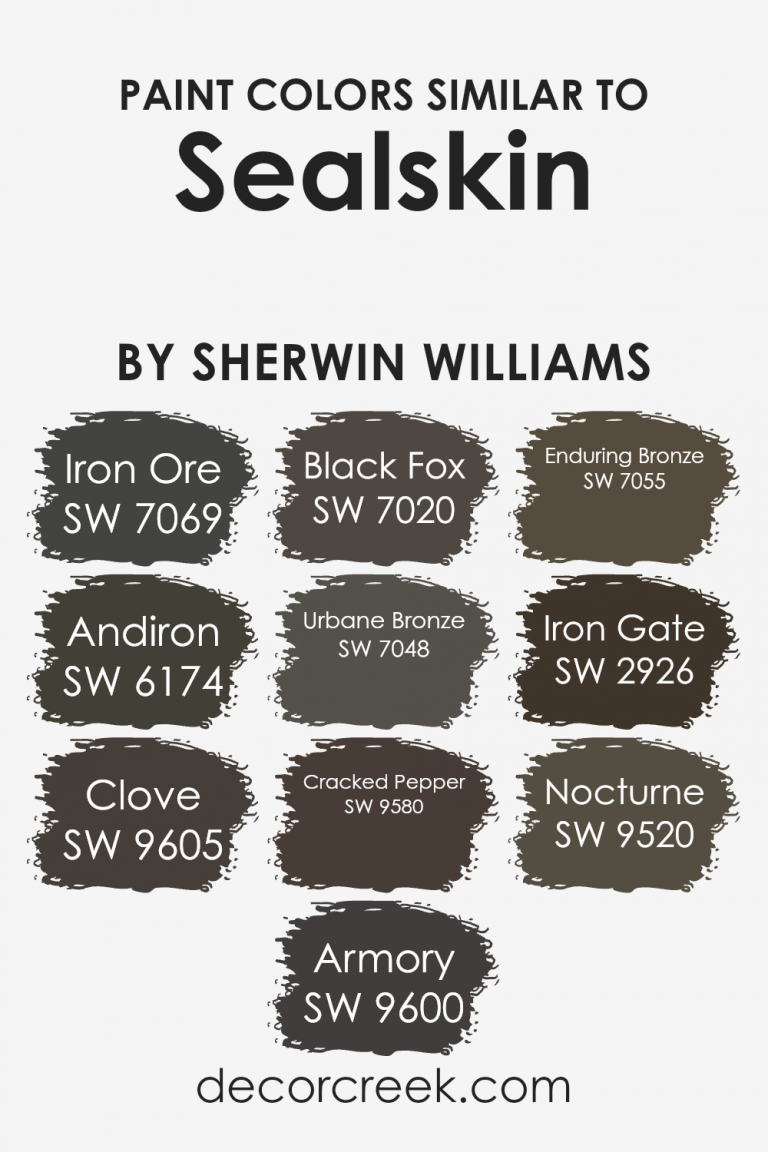 Sealskin SW 7675 Paint Color by Sherwin Williams - DecorCreek