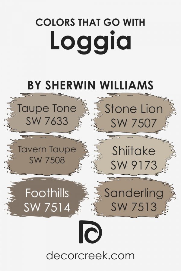 Loggia SW 7506 Paint Color by Sherwin Williams - DecorCreek