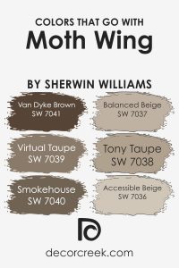 Moth Wing SW 9174 Paint Color by Sherwin Williams - DecorCreek