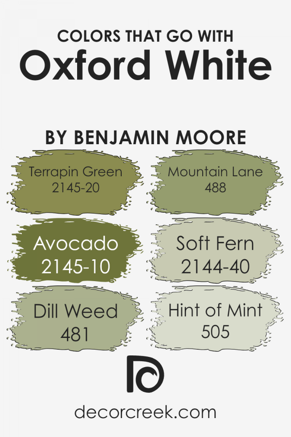 Oxford White 869 Paint Color by Benjamin Moore - DecorCreek