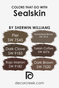 Sealskin SW 7675 Paint Color by Sherwin Williams - DecorCreek