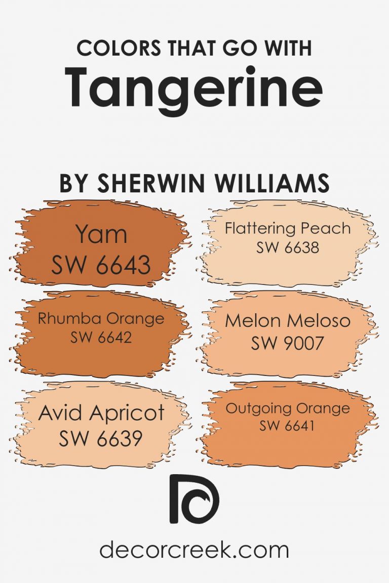 Tangerine SW 6640 Paint Color by Sherwin Williams - DecorCreek