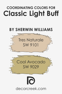 Classic Light Buff SW 0050 Paint Color by Sherwin Williams - DecorCreek