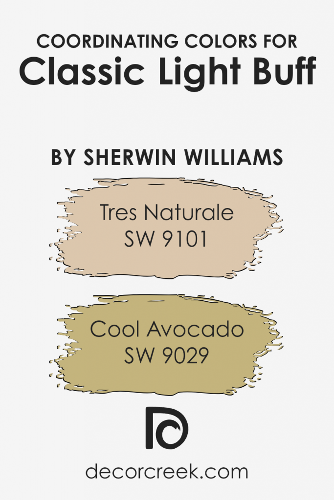 Classic Light Buff SW 0050 Paint Color by Sherwin Williams - DecorCreek