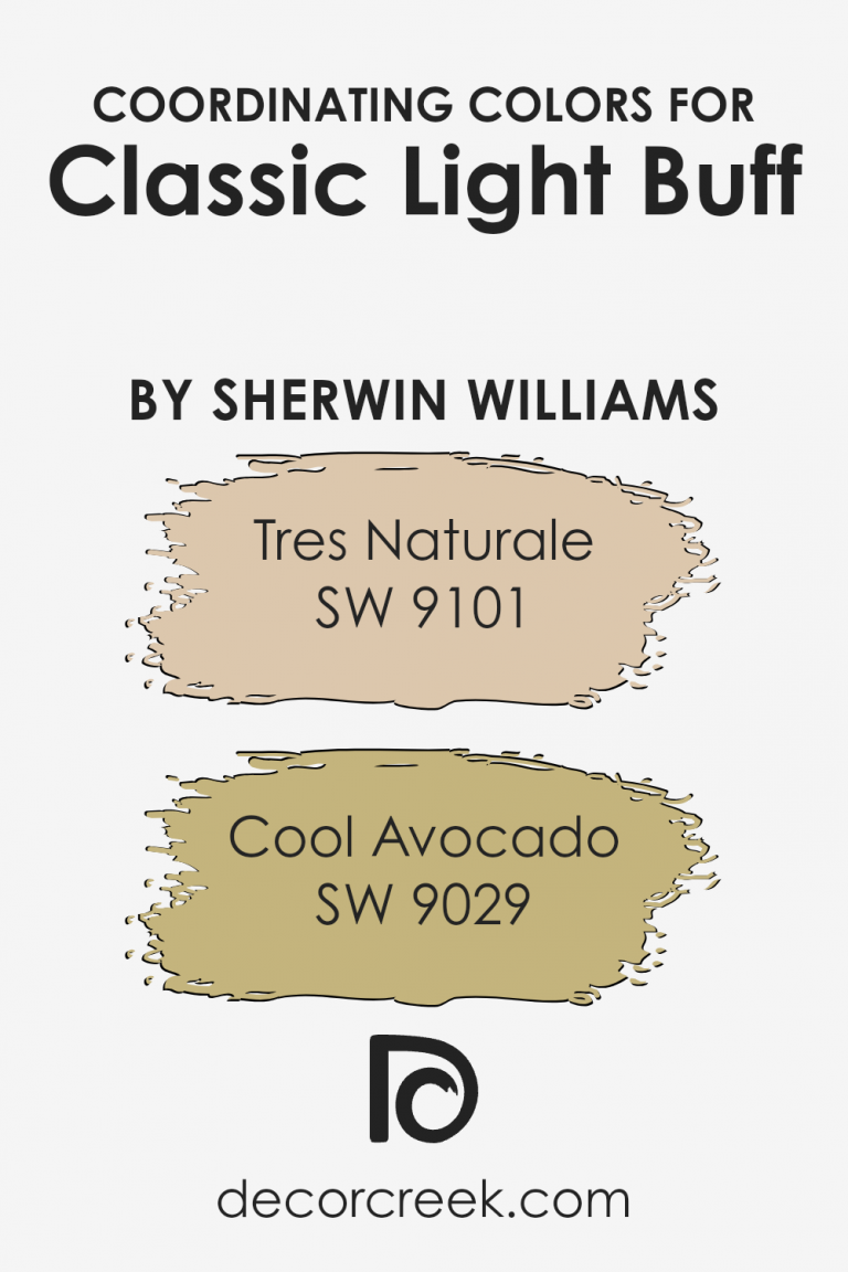 Classic Light Buff SW 0050 Paint Color by Sherwin Williams - DecorCreek