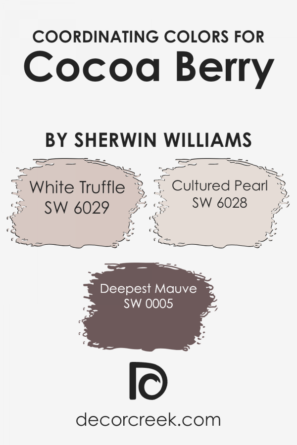 Cocoa Berry SW 9078 Paint Color by Sherwin Williams - DecorCreek