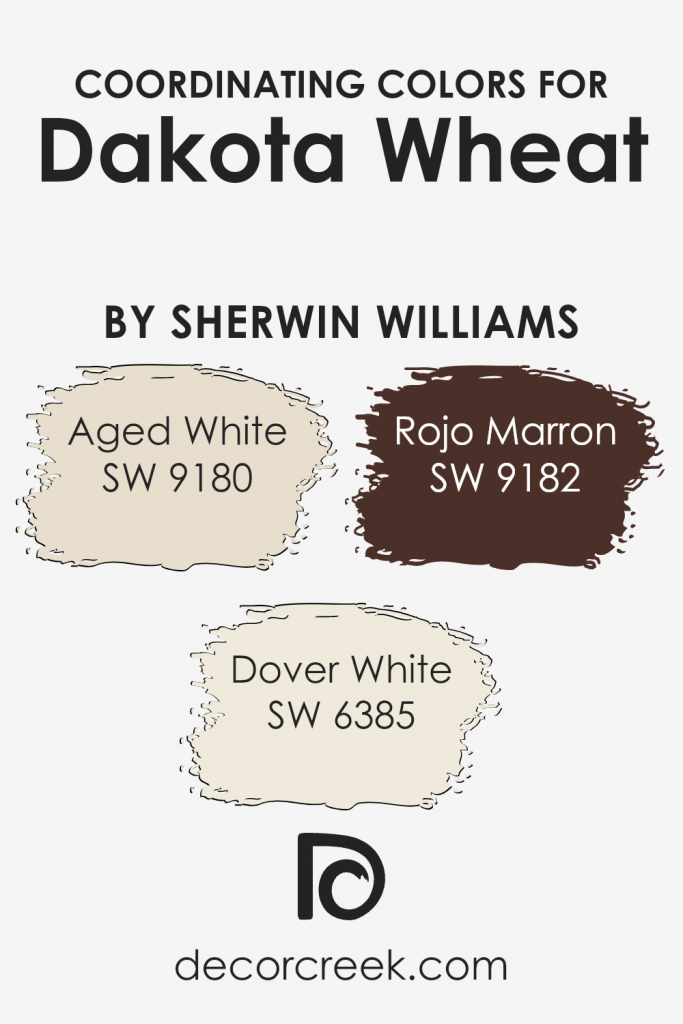 Dakota Wheat SW 9023 Paint Color by Sherwin Williams - DecorCreek