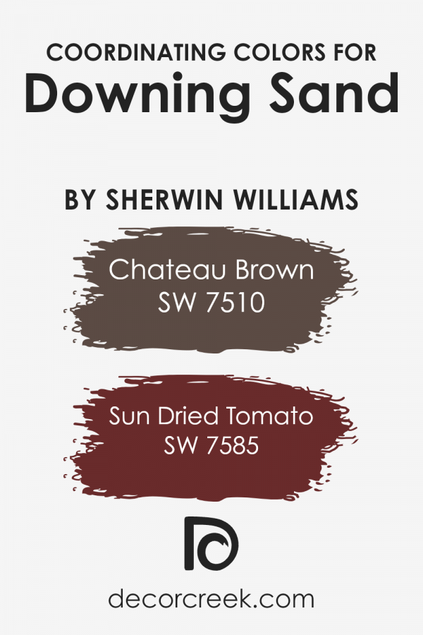 Downing Sand SW 2822 Paint Color by Sherwin Williams - DecorCreek