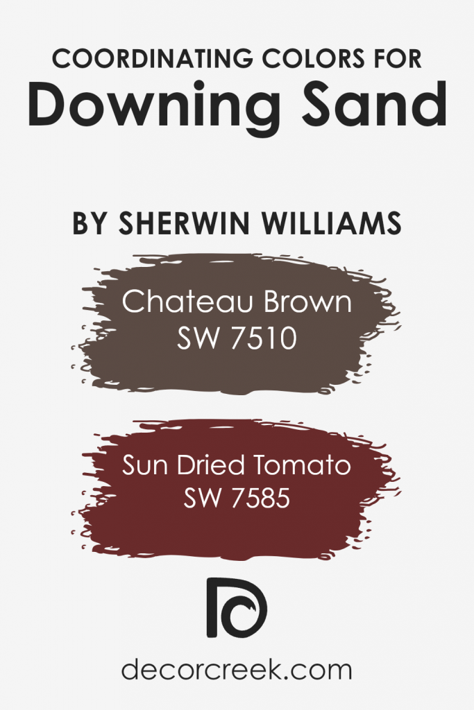 Downing Sand SW 2822 Paint Color by Sherwin Williams - DecorCreek