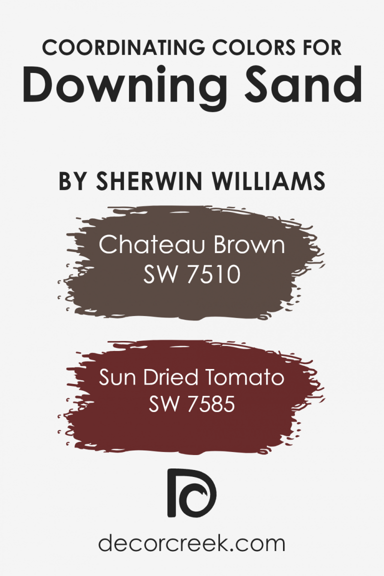 Downing Sand SW 2822 Paint Color by Sherwin Williams - DecorCreek