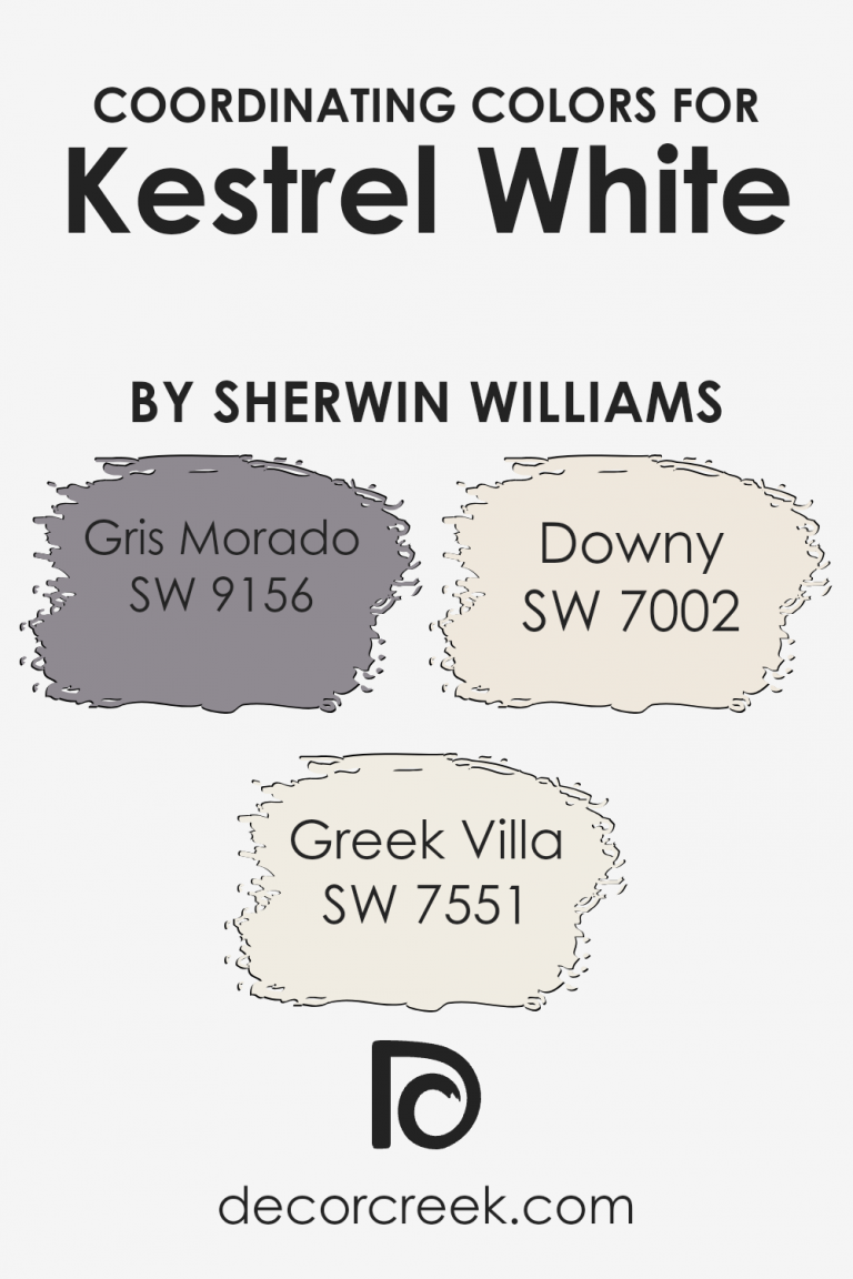 Kestrel White SW 7516 Paint Color by Sherwin Williams - DecorCreek