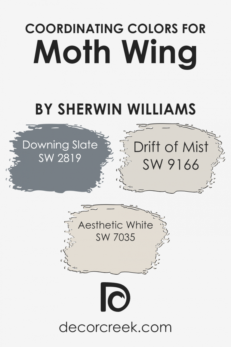Moth Wing SW 9174 Paint Color by Sherwin Williams - DecorCreek