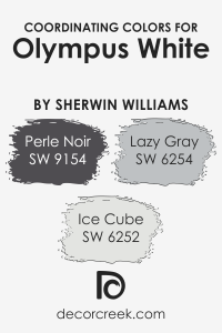 Olympus White SW 6253 Paint Color by Sherwin Williams - DecorCreek