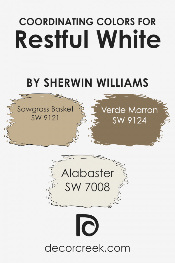 Restful White SW 7563 Paint Color by Sherwin Williams - DecorCreek