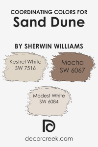 Sand Dune SW 6086 Paint Color by Sherwin Williams - DecorCreek