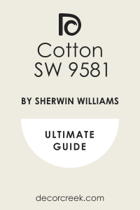 Cotton SW 9581 Paint Color by Sherwin Williams - DecorCreek